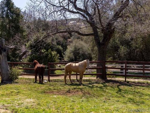 5867 Forest Meadow Rd Unit 15, Julian, CA 92036