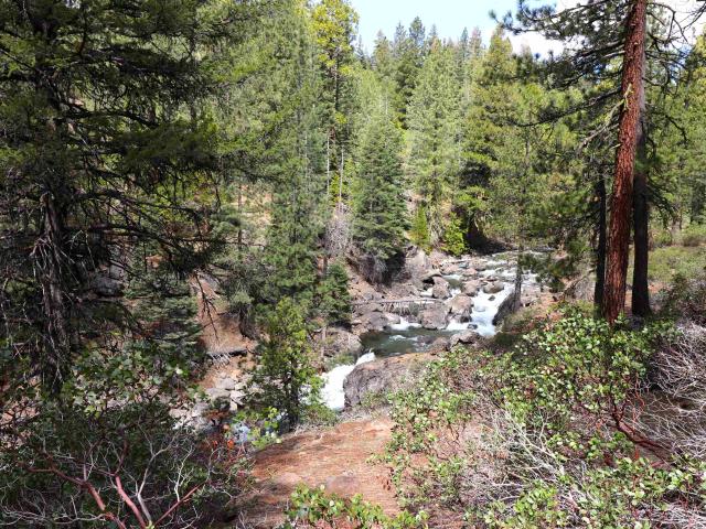 586 Bailey Creek Dr, Lake Almanor, CA 96137 | MLS #20250