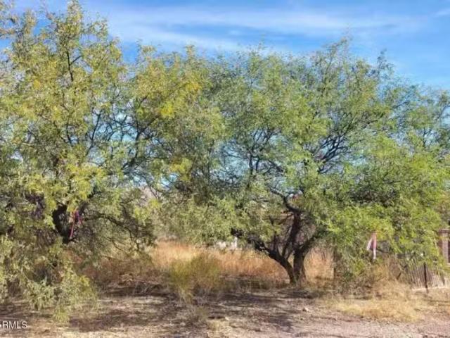586 Judit Ct #74, Rio Rico, AZ 85648 MLS 6901733