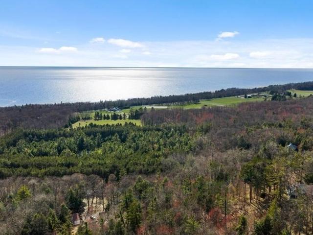 5870 Lodgepole Rd, Harbor Springs, MI 49740