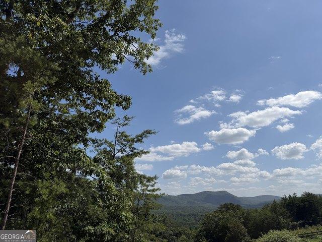 587 E Valley Rd NE, Rydal, GA 30171