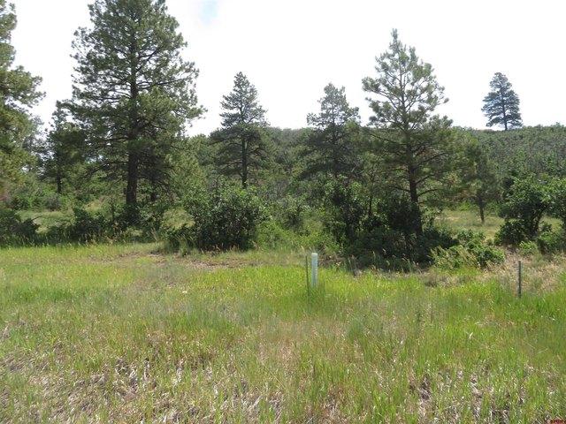 587 Santino Pl, Pagosa Springs, CO 81147