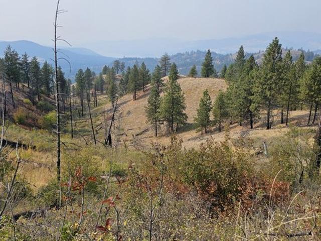 5884 Coyote Canyon Rd Lot H, Colville, WA 99114