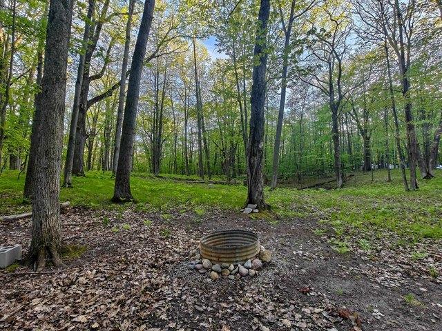5899 Elm Run, Farwell, MI 48622