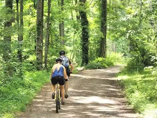 58912582 256 Bent Creek Ranch Rd