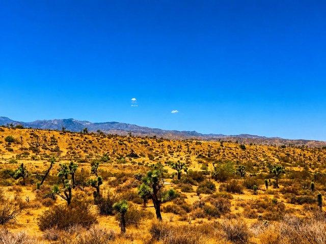 58920 Lisbon Dr, Yucca Valley, CA 92284