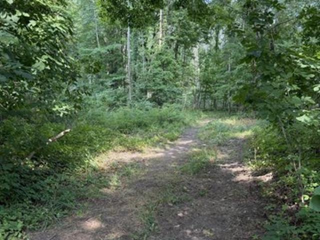 589 48th St, Grand Junction, MI 49056