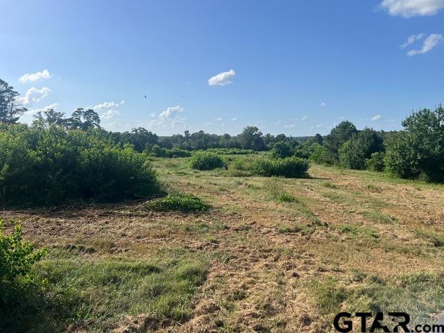 589 Highway 84, Tenaha, TX 75974 | MLS #25018 | Compass