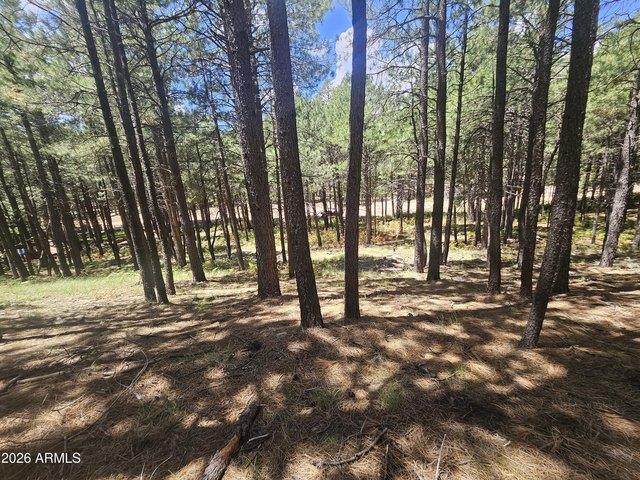 589 Trout Springs Rd Unit 71, Forest Lakes, AZ 85931