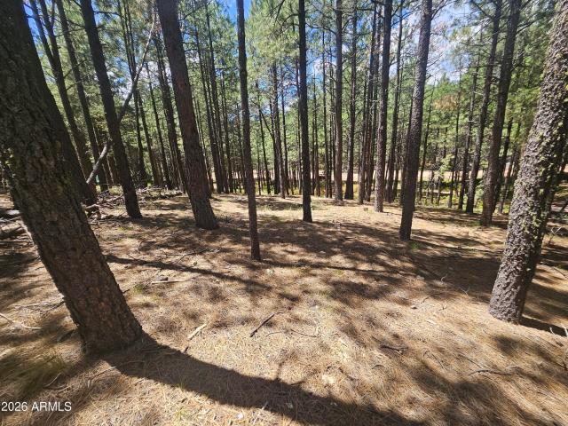 589 trout springs road # 71