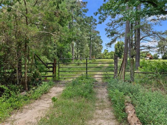 589 US Highway 84 E