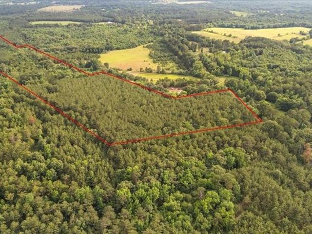 58.429 Ac Fm 225 S, Laneville, TX 75667