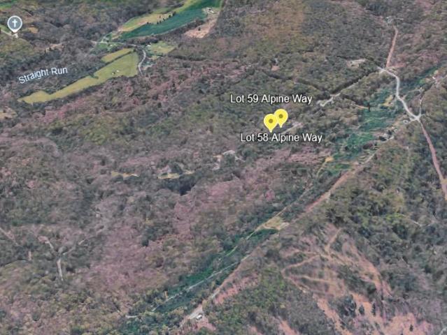 58 59 Alpine Way Mount, Jackson, VA 22842 | MLS #VASH2014 | Compass