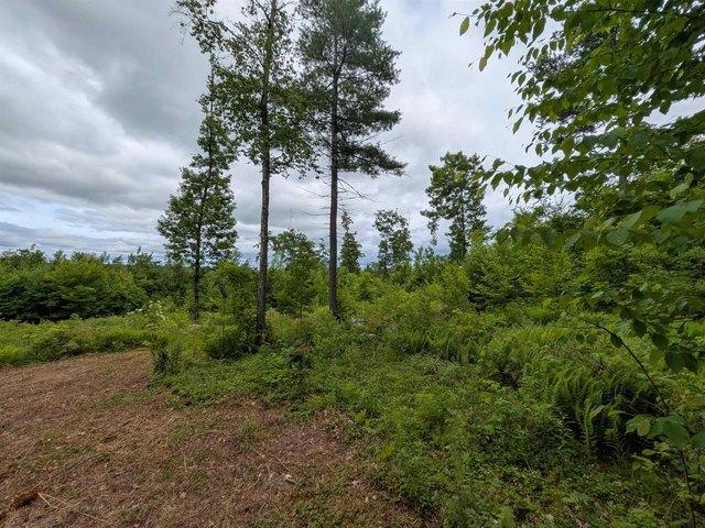 58 6 2 Duggin Rd, Wilton, NH 03086