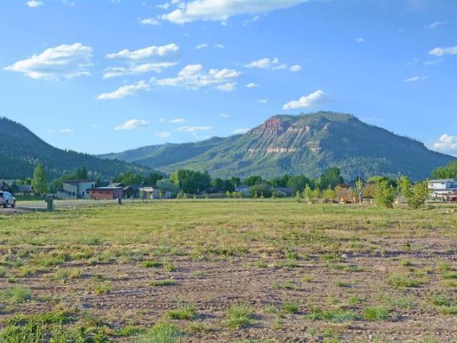 58 W Dalton Rd, Durango, CO 81301