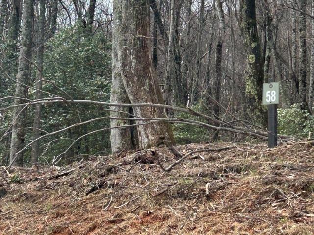 58 Wilderness Reserve Parkway