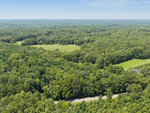 58 ACRES Rising Star Road