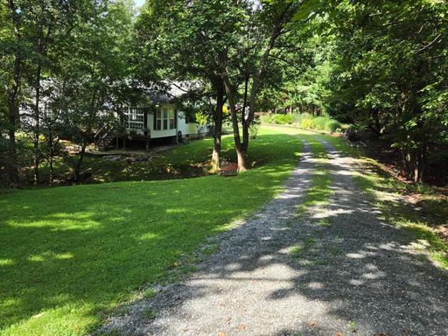 58 Branchy Road