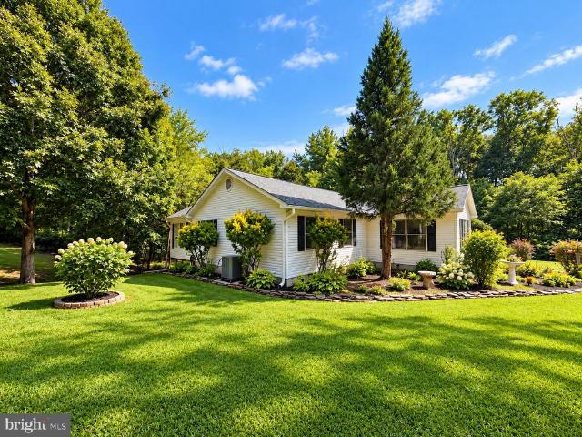 58 Branchy Road