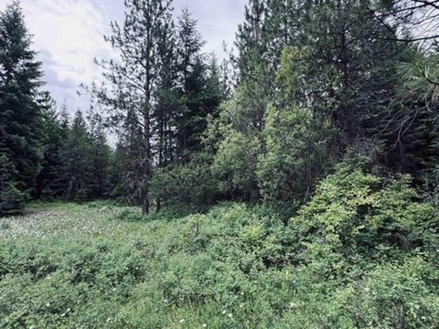 58 Bugling Elk Ln, Weippe, ID 83553