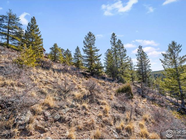 58 Doe Trail, Nederland, CO 80466 | MLS #1051