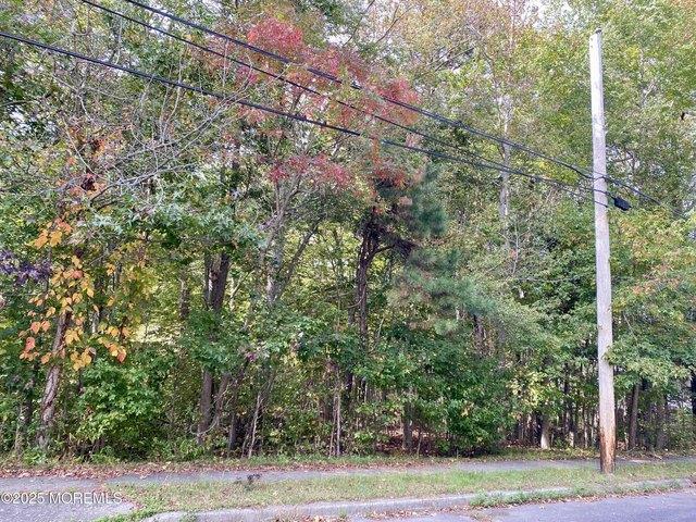58 Johnson Ln, Jackson, NJ 08527