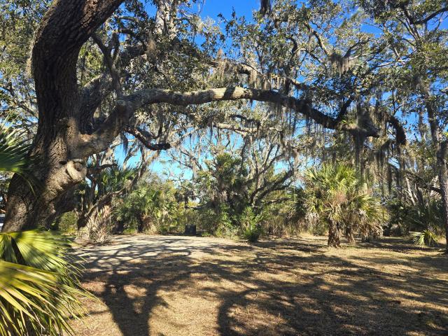58 Painted Bunting Trl, Edisto Island, SC 29438 | MLS #26004 | Compass