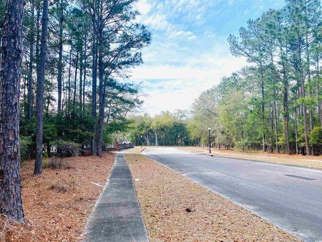 58 Pineberry Township Dr Lot Harmony, Georgetown, SC 29440