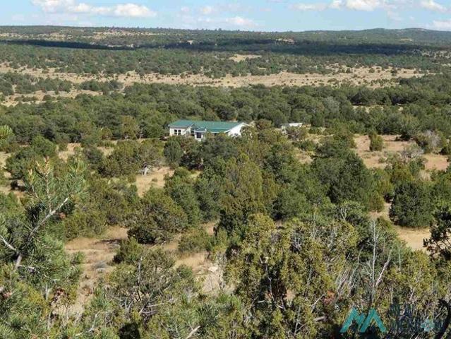 58 Ponderosa Ranches Rd, Pie Town, NM 87827
