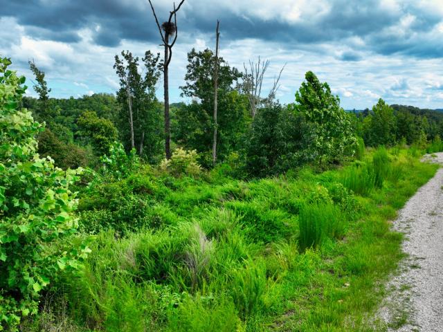 58 Ridge Top Rd