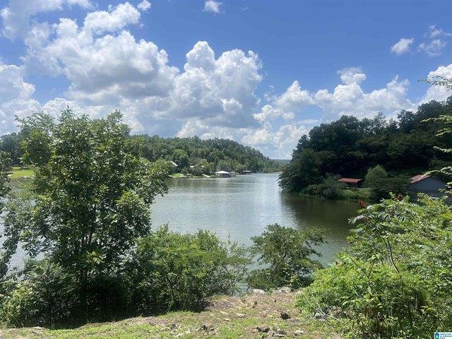 58 River Oaks Cir, Oneonta, AL 35121