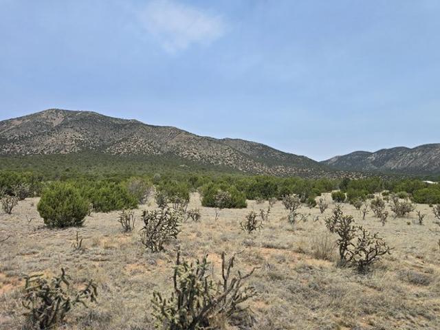 58 S Mountain Rd, Edgewood, NM 87015