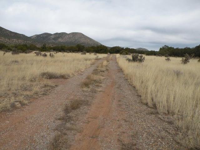 58 S Mountain Road