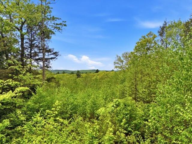 58 Stanley Rd, Otis, MA 01253