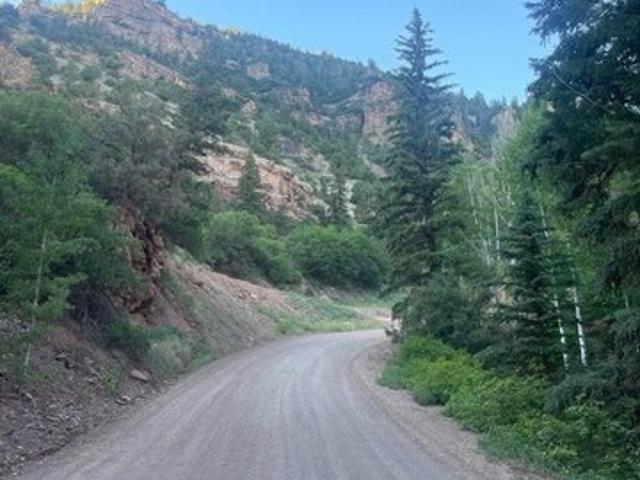 58P Rd, Placerville, CO 81430