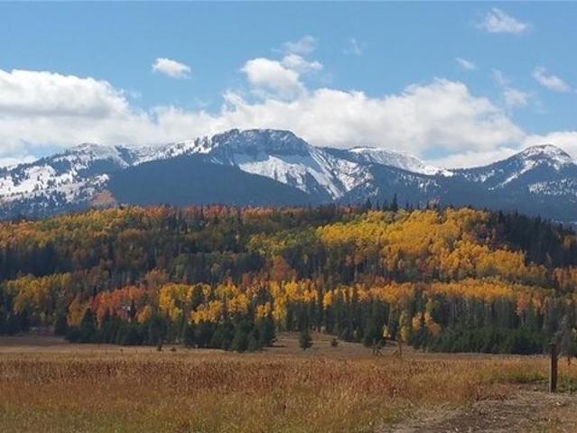 59045 Button Willow Dr Lot 5, Clark, CO 80428