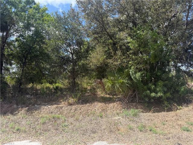 5905 Sally Ave N, Lehigh Acres, FL 33971 | MLS #226011 | Compass