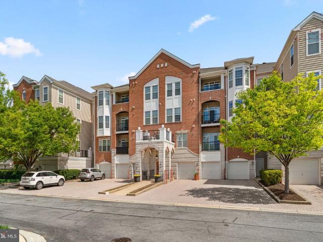 5900 Great Star Drive # 203