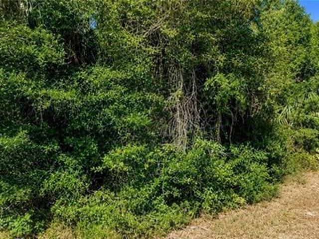 5900 Vera Ave N, Lehigh Acres, FL 33971