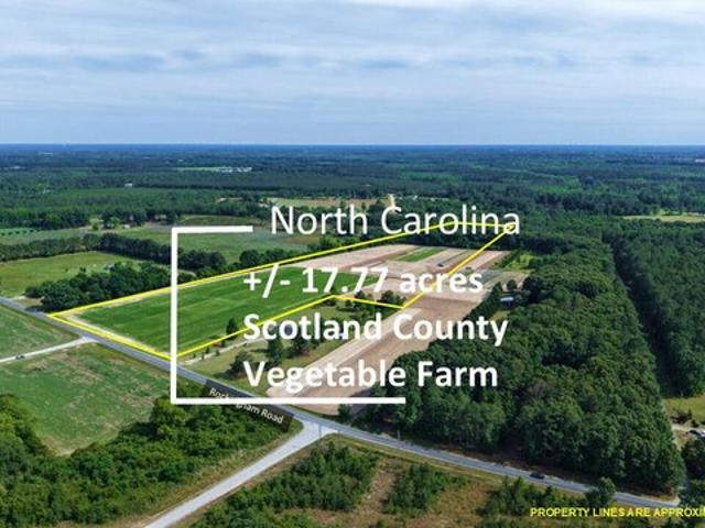 5901 Rockingham Rd, Laurel Hill, NC 28351