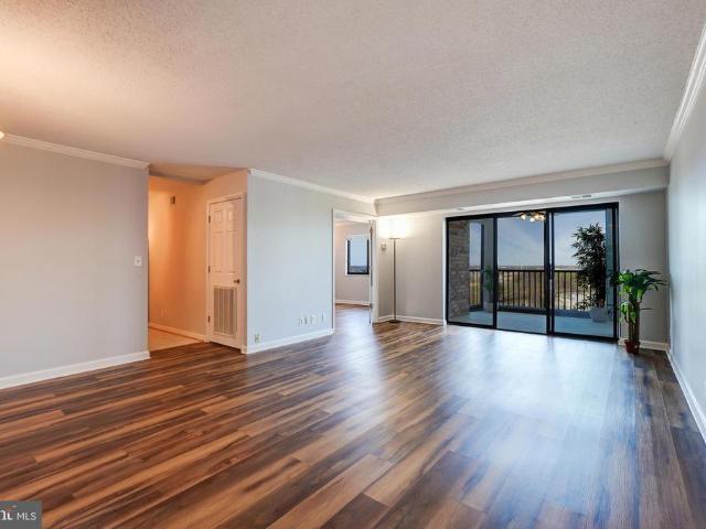 5902 Mount Eagle Drive # 1501