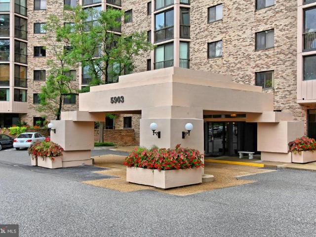 5903 Mount Eagle Drive # 1408