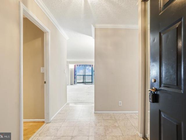 5903 Mount Eagle Drive # 1504