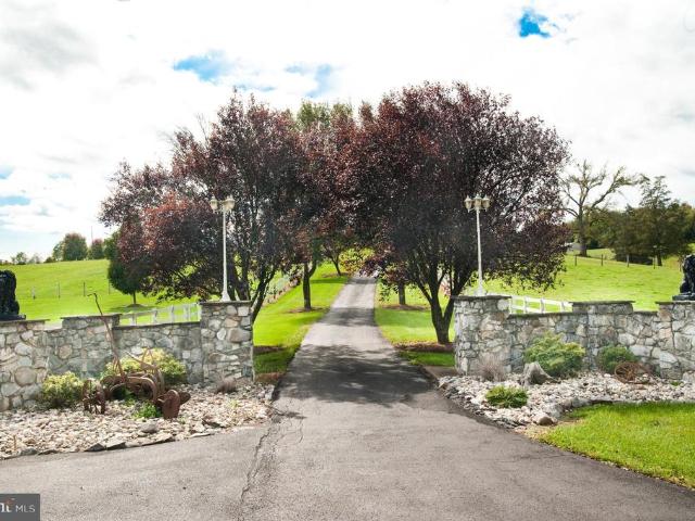 590 Carlyle Road