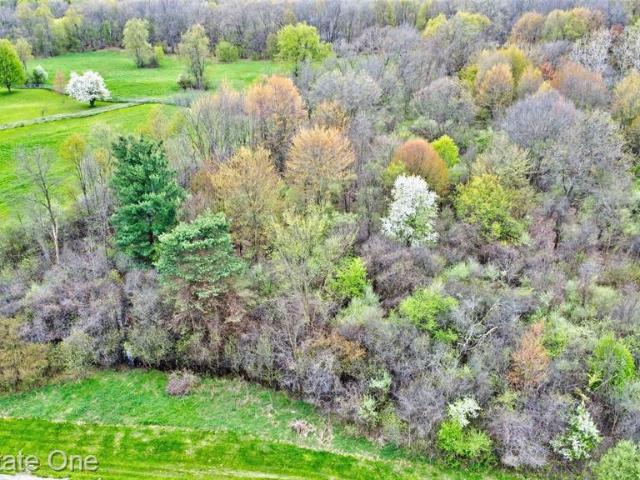 590 Judi Ann Lane