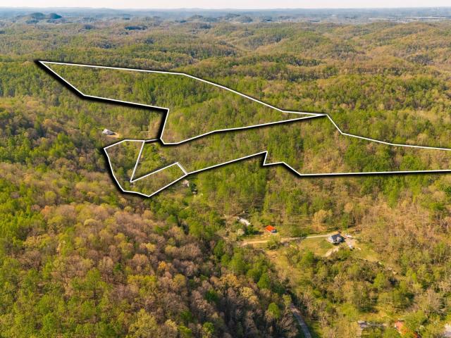 590 Leath Chapel Rd