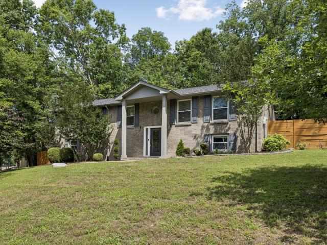590 Weeping Elm Rd