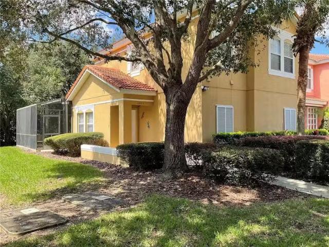 59157867 3183 Yellow Lantana Ln