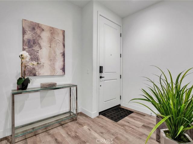 5919 Spring
