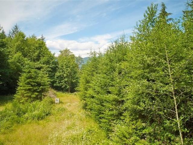 591 Casera Dr Lot 6, Quilcene, WA 98376